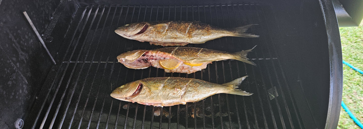 Traeger smoked Tailor – recipe and cooking guide