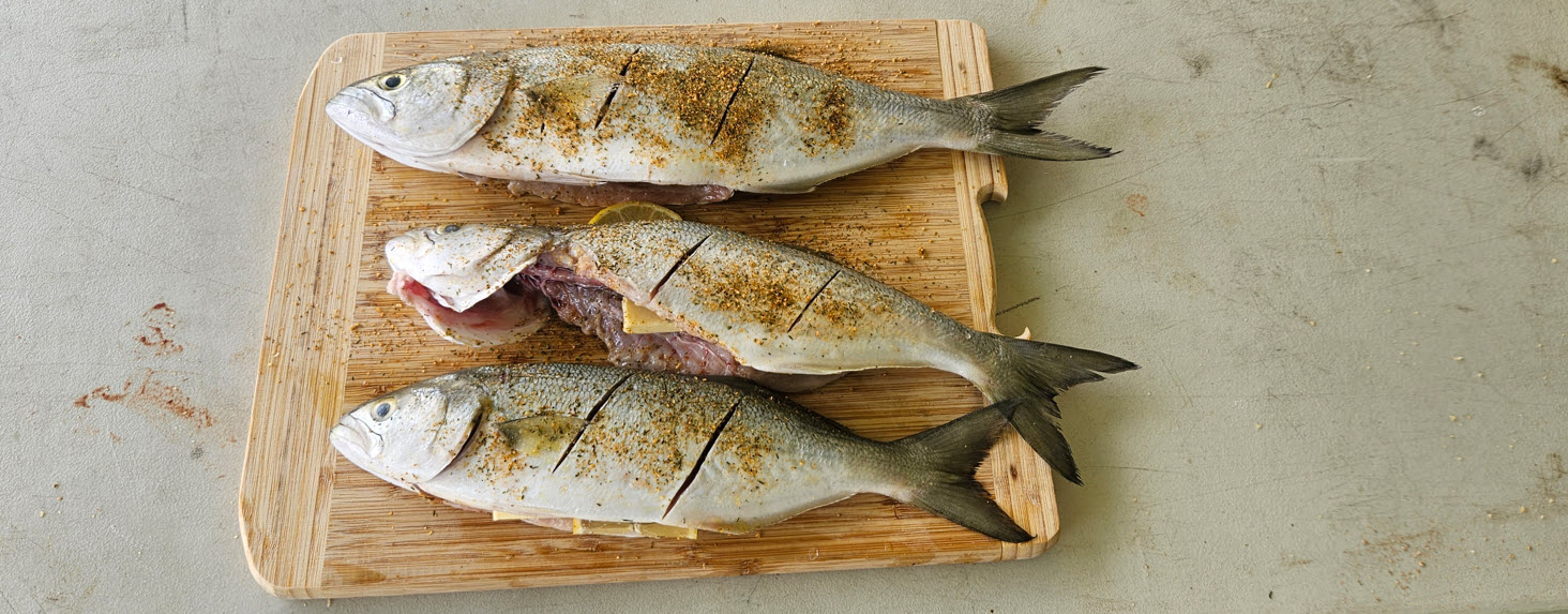 Traeger smoked Tailor – recipe and cooking guide